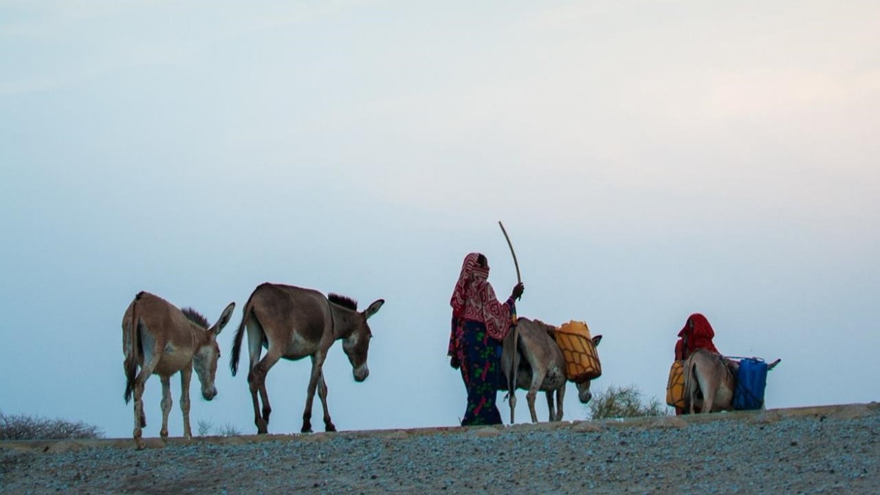 Refugees in Chad - Joint Data Center