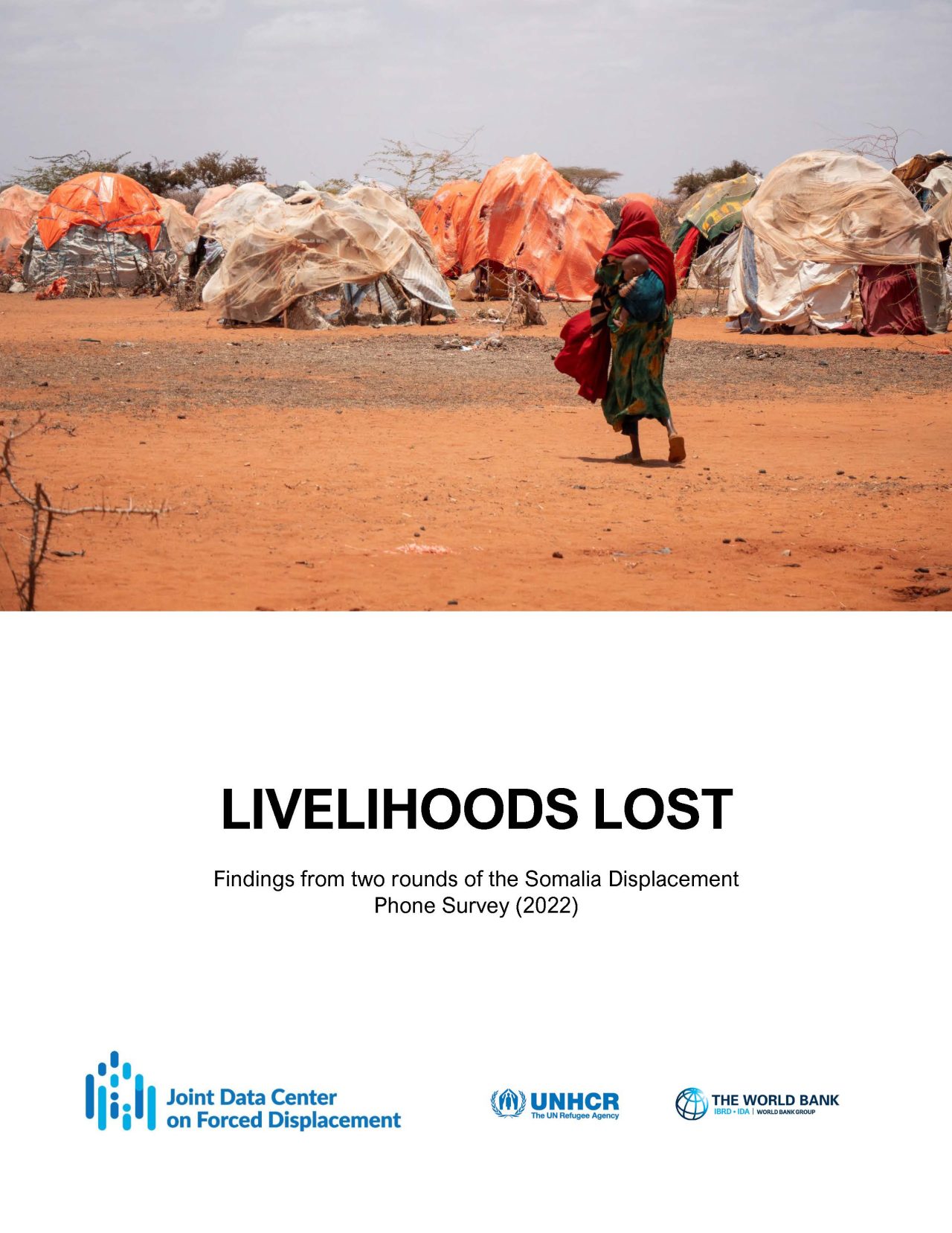 Findings from Somalia Displacement Phone Survey (2022)|JDC